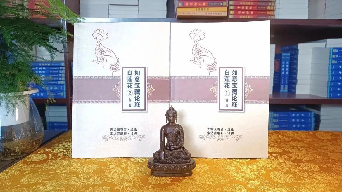 特极 如 意 宝 藏 论释 白莲花 二十二品16k 全二册