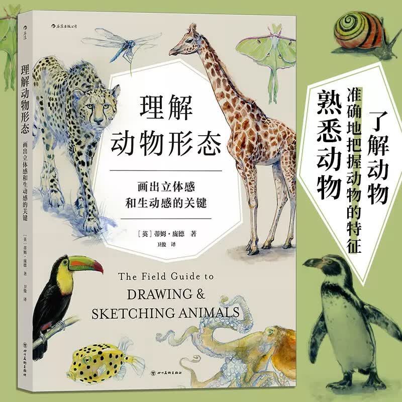 理解动物形态：画出立体感和生动感的关键