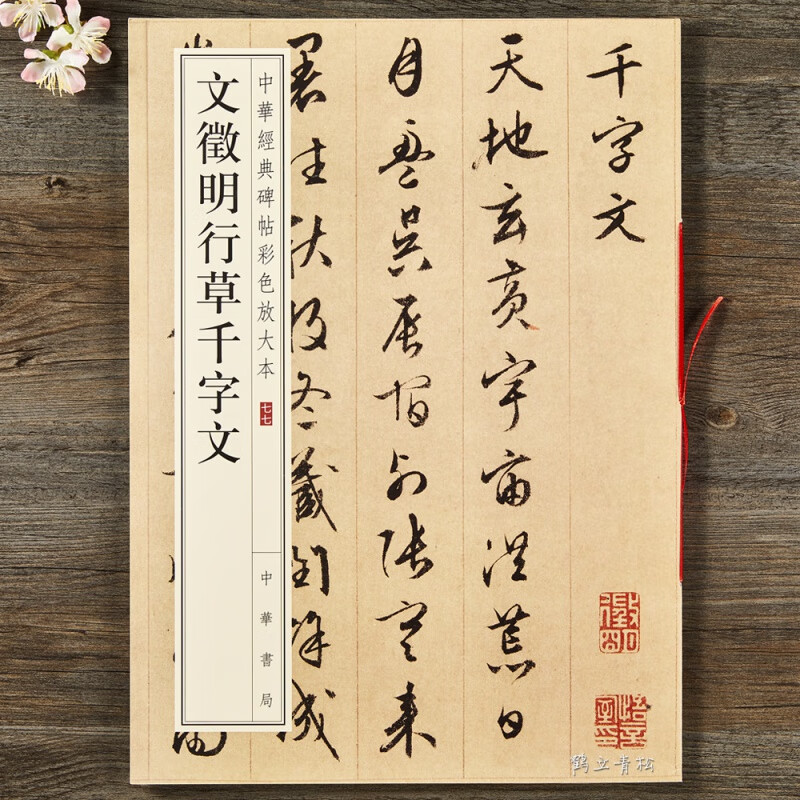 中华经典碑帖彩色放大本文征明行草千字文行书草书毛笔碑帖软笔字帖 付释文译注 字帖大八开中华书局