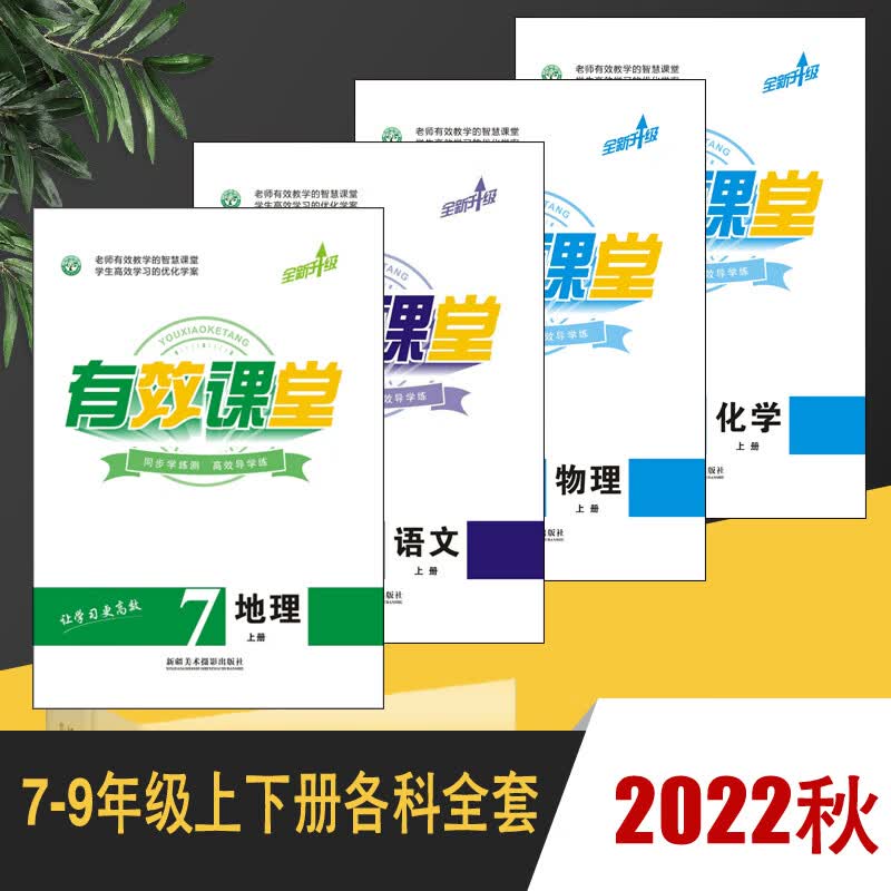 有效课堂七年级上册语文数学英语物理化学政治历史地生人教版 数学人教版 八年级下