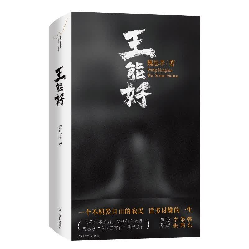 王能好 精装版 魏思孝“乡村三部曲”终结之作（2022宝珀理想国文学奖入围作品）