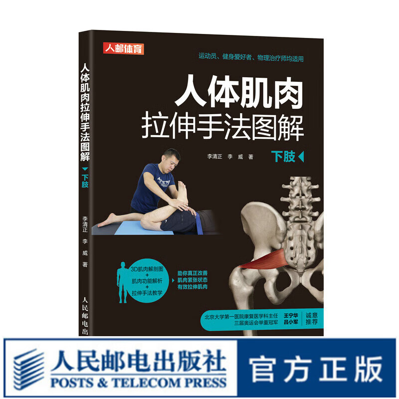 人体肌肉拉伸手法图解 下肢