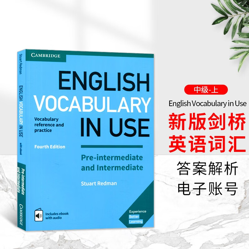 原版进口剑桥英语词汇书 English Vocabulary in Use 中级上 小学初中高中英文英式英语教材大全自学教材工具