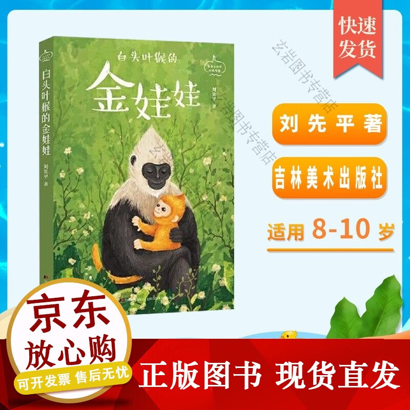 k8-10岁 白头叶猴的金娃娃 202234