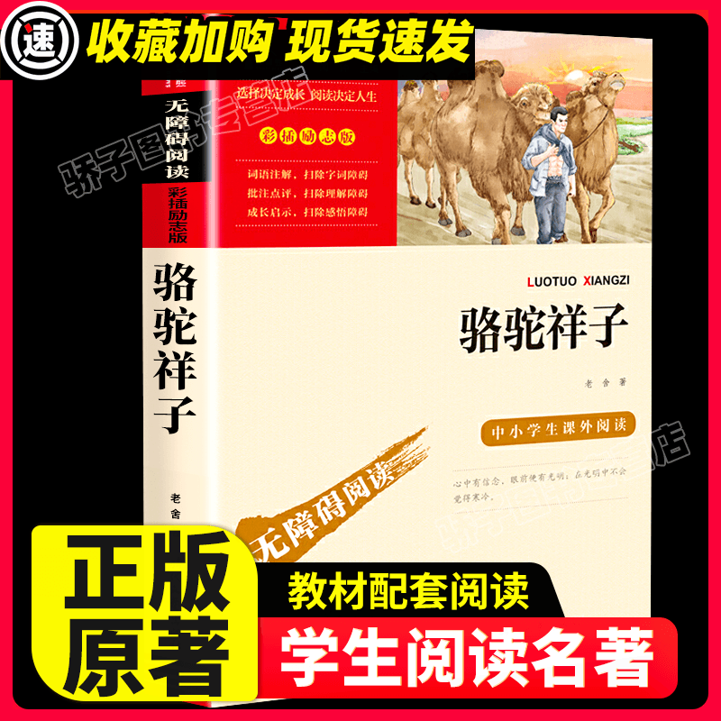 儒林外史 吴敬梓著 原著小学生二三四五六年级阅读课外书必书籍书目老师推荐新编语文教材阅读书智慧熊彩 【满2件9折】骆驼祥子