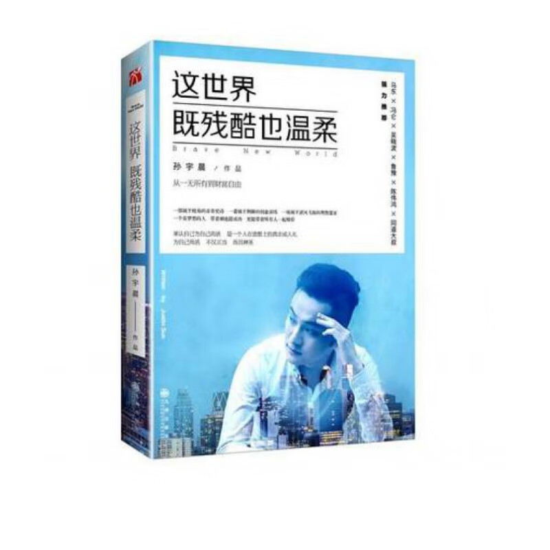 这世界既残酷也温柔 北大学霸孙宇晨 心灵鸡汤 青春小说文学成功励志
