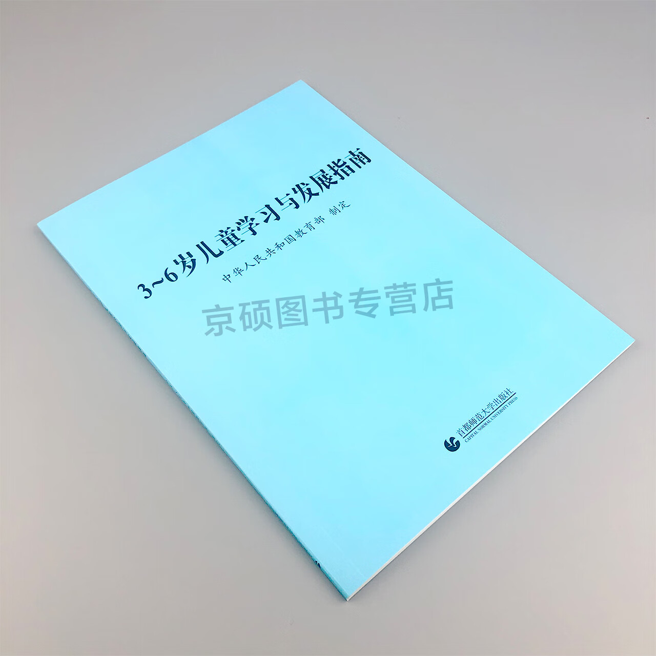 3-6岁儿童学习与发展指南 幼儿园教育指导纲要 全2册考试指南幼儿园教育活动学前教育宝宝的书幼儿师范教师资