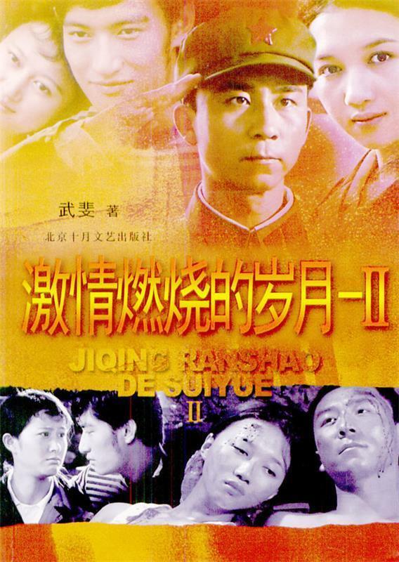 激情燃烧的岁月--II 武斐