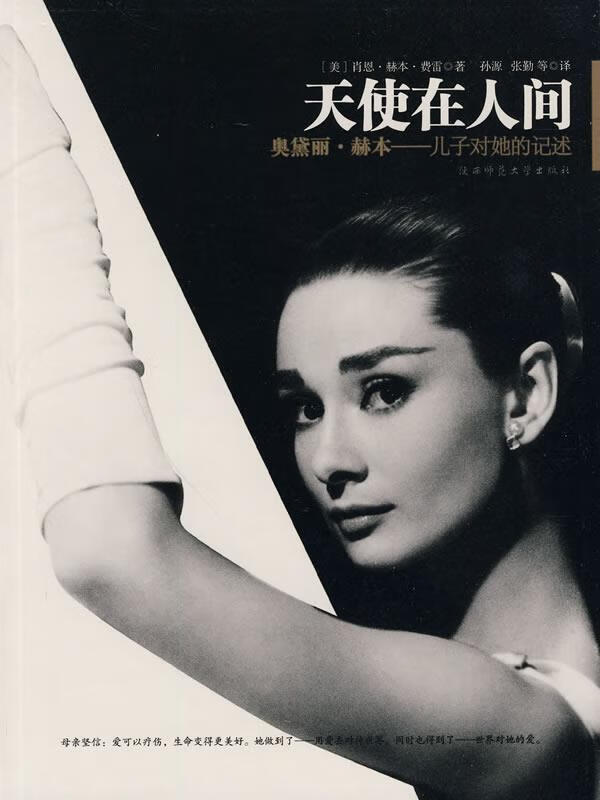 天使在人间【好书，下单速发】