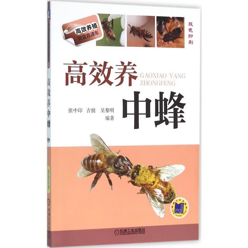 高效养中蜂 张中印,古挺,吴黎明 编 书籍
