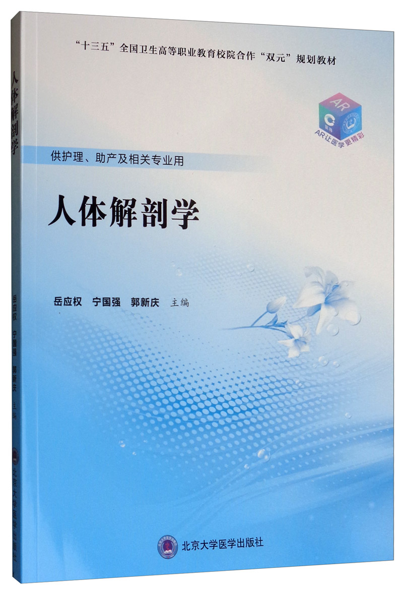人体解剖学