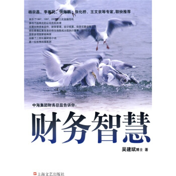 财务智慧 吴建斌 著【书】