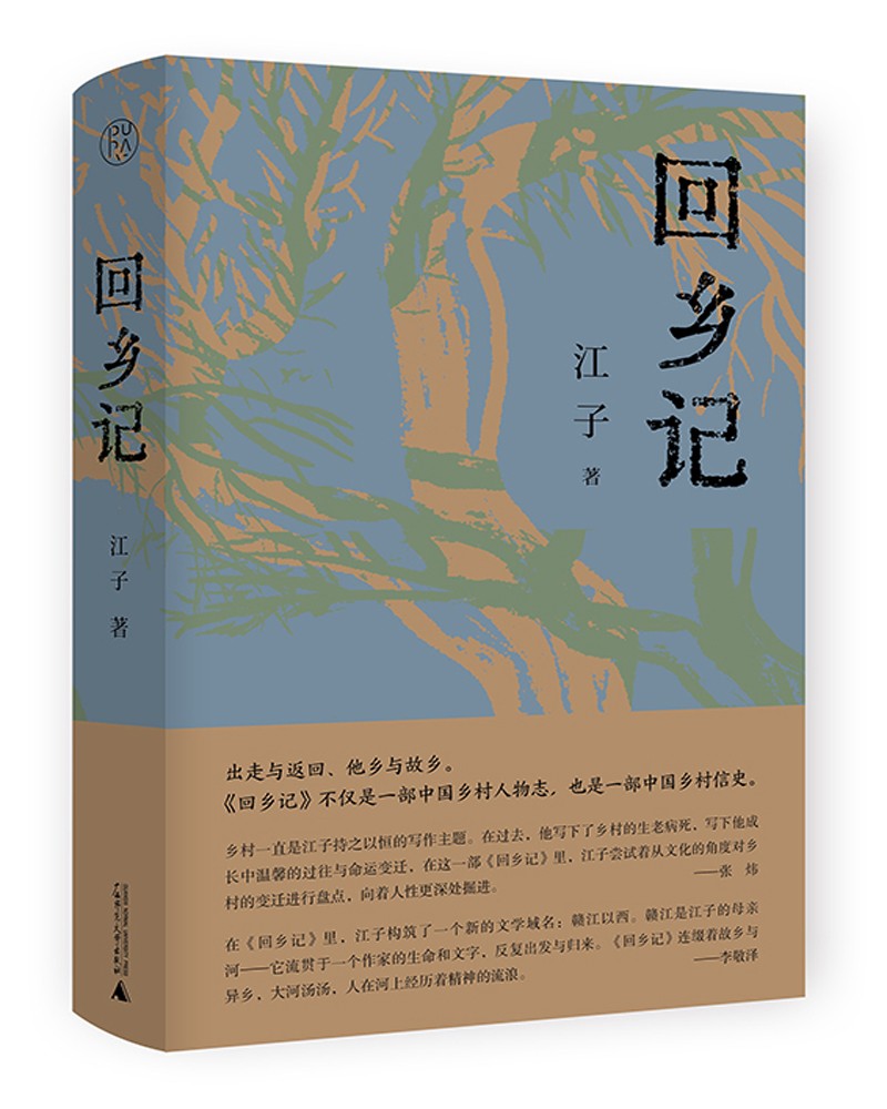 纯粹·回乡记（第八届鲁迅文学奖获奖作品）