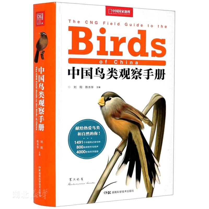 中国鸟类观察手册