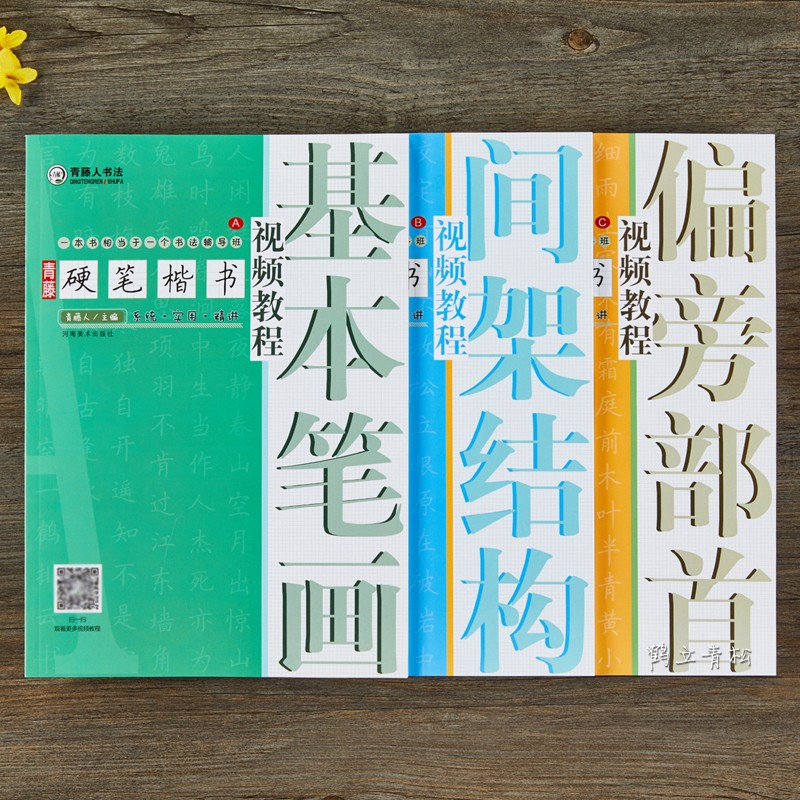 青藤硬笔楷书入门教程书法初学者套装笔画练习基础训练技法图解铅钢笔硬笔楷书临摹练字帖小学生零基础教学书法班培训机构教材书