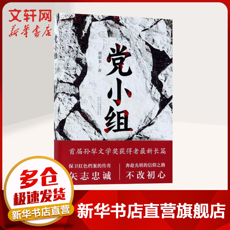 党小组 入围2017中国好书