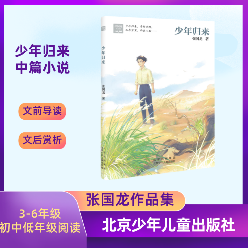 张国龙作品集 少年归来 北京少年儿童出版社