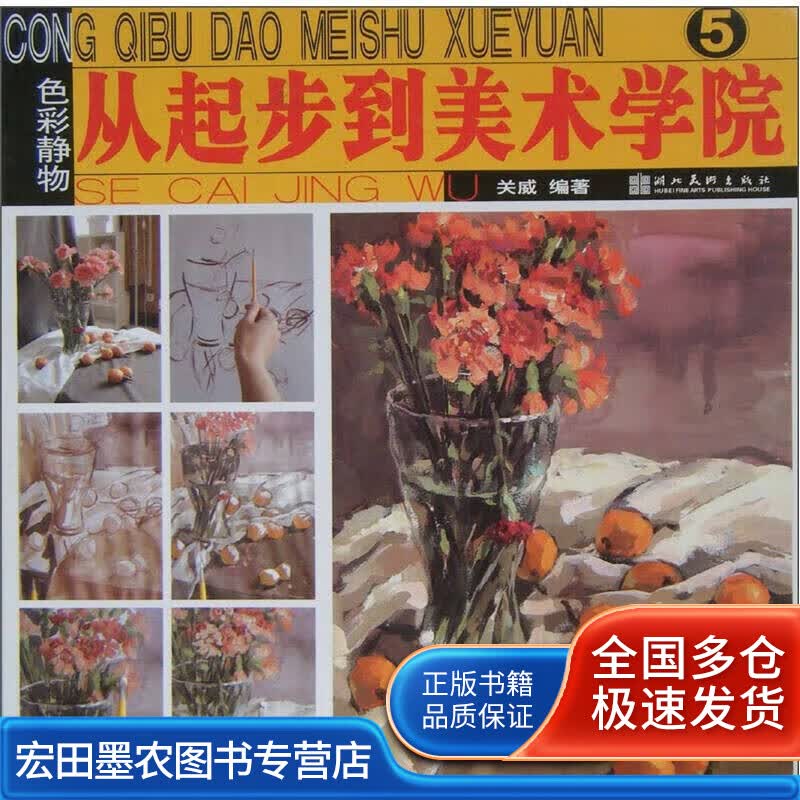 从起步到美术学院5 色彩静物【好书】
