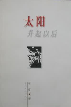 太阳升起以后【好书】