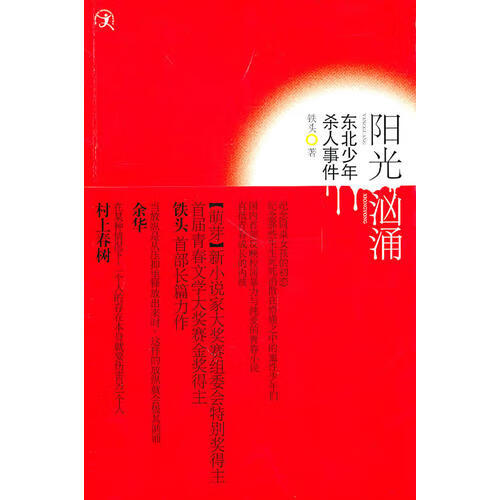 阳光汹涌 东北少年杀人事件【好书】
