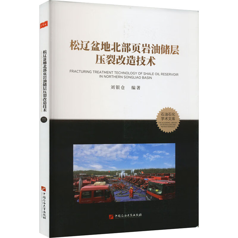 松辽盆地北部页岩油储层压裂改造技术