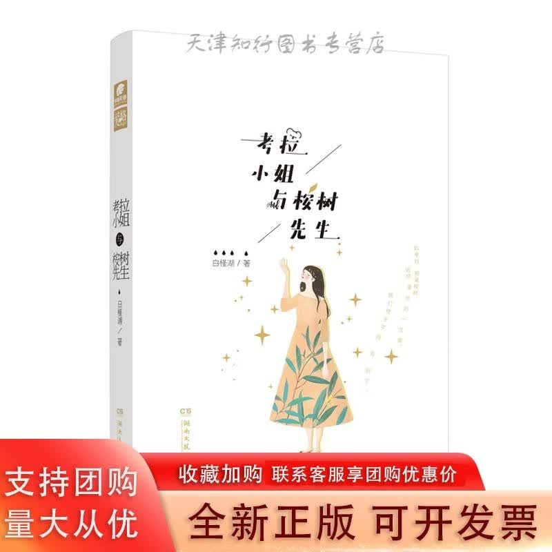 考拉小姐与桉树先生 白槿湖