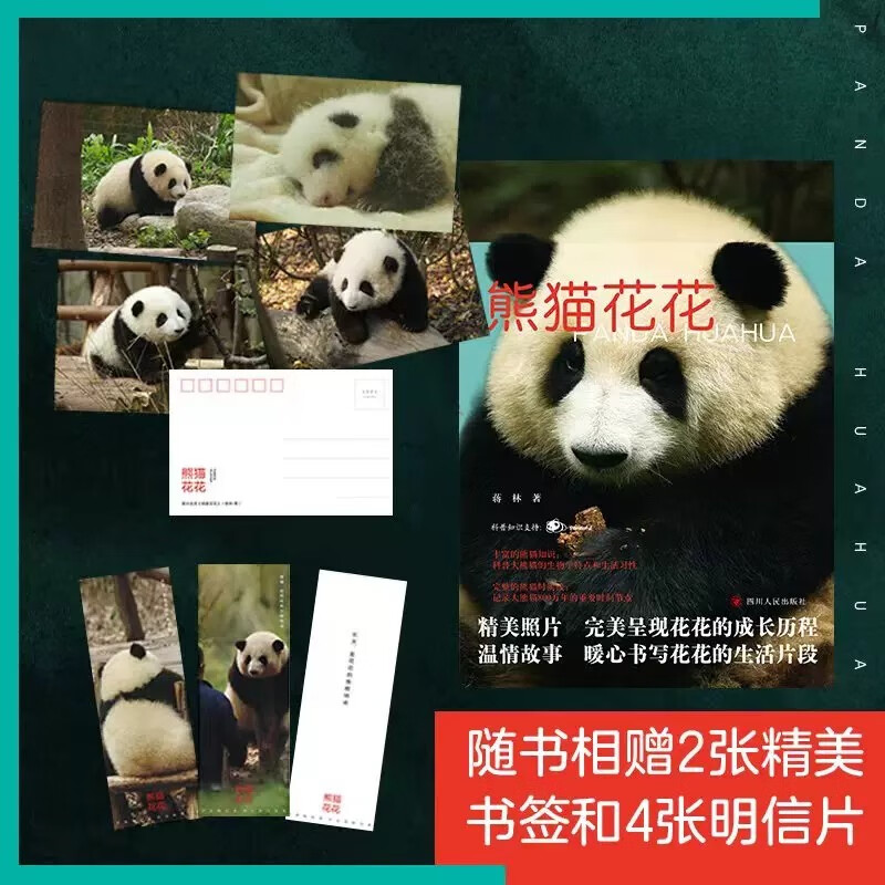 官方「熊猫花花」蒋林著大熊猫和花成长历程知识问答科普图文传记