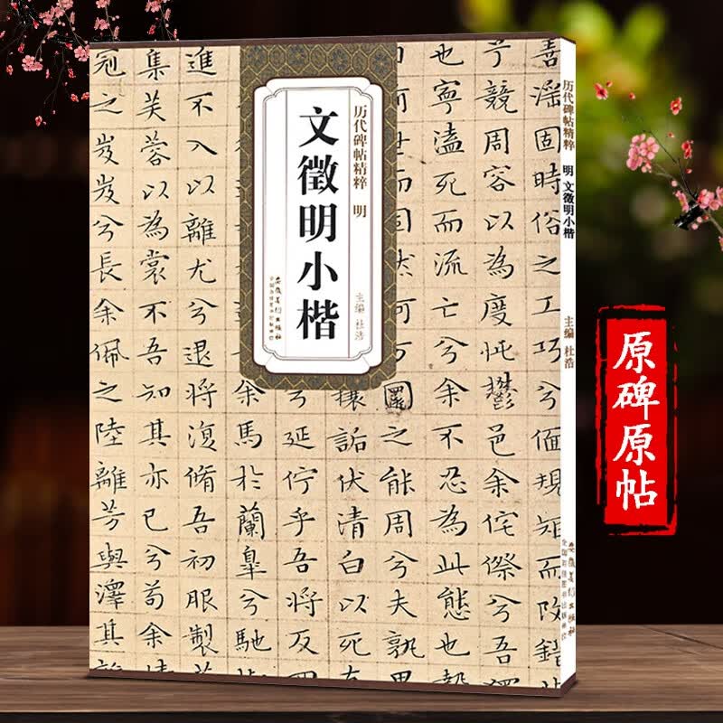 文征明小楷字帖楷书小楷毛笔字书法练习初学者学生鉴赏临摹临习字帖古帖书籍范本历代碑帖精粹文微明字帖文徽明小楷 普通款