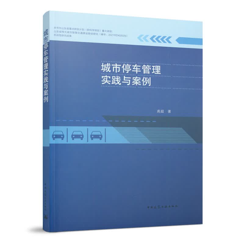 城市停车管理实践与案例