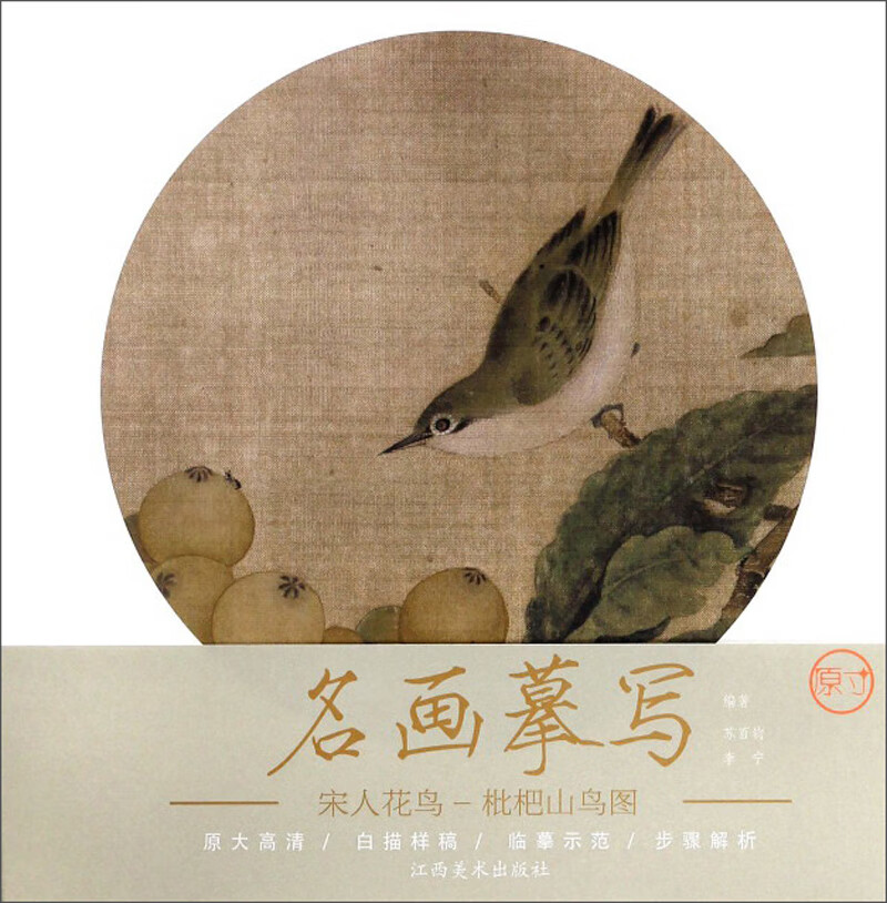 宋人花鸟（枇杷山鸟图）/名画摹写