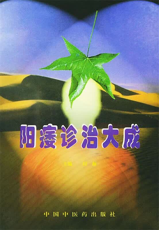 阳痿诊治大成 阎海