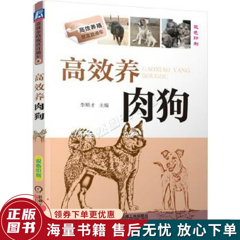 高效养肉狗