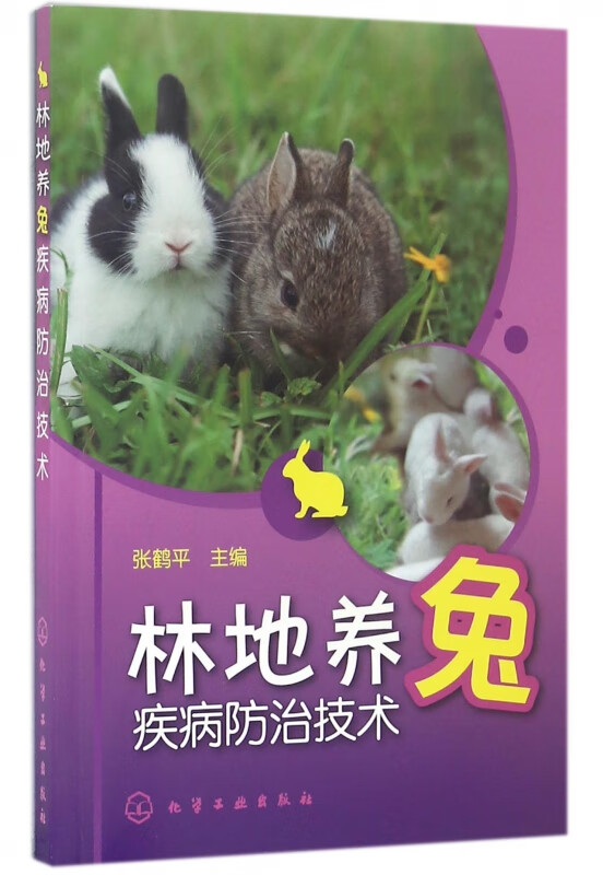 林地养兔疾病防治技术