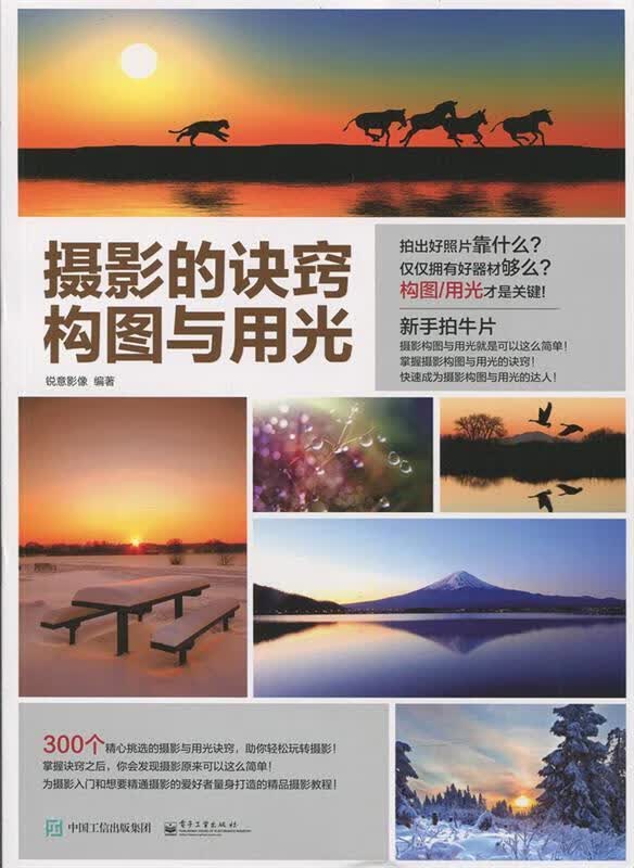 摄影的诀窍 构图与用光 电子工业出版社