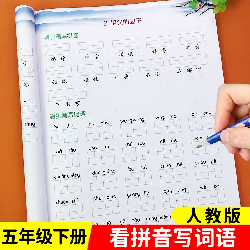 看拼音写词语一二三四五六年级上下册人教版看拼音写字词生字注音近反义词多音同音形近字二合一小学语文专项组合训练词语积累大全练习册同步课本教材木叉教育 五年级下册