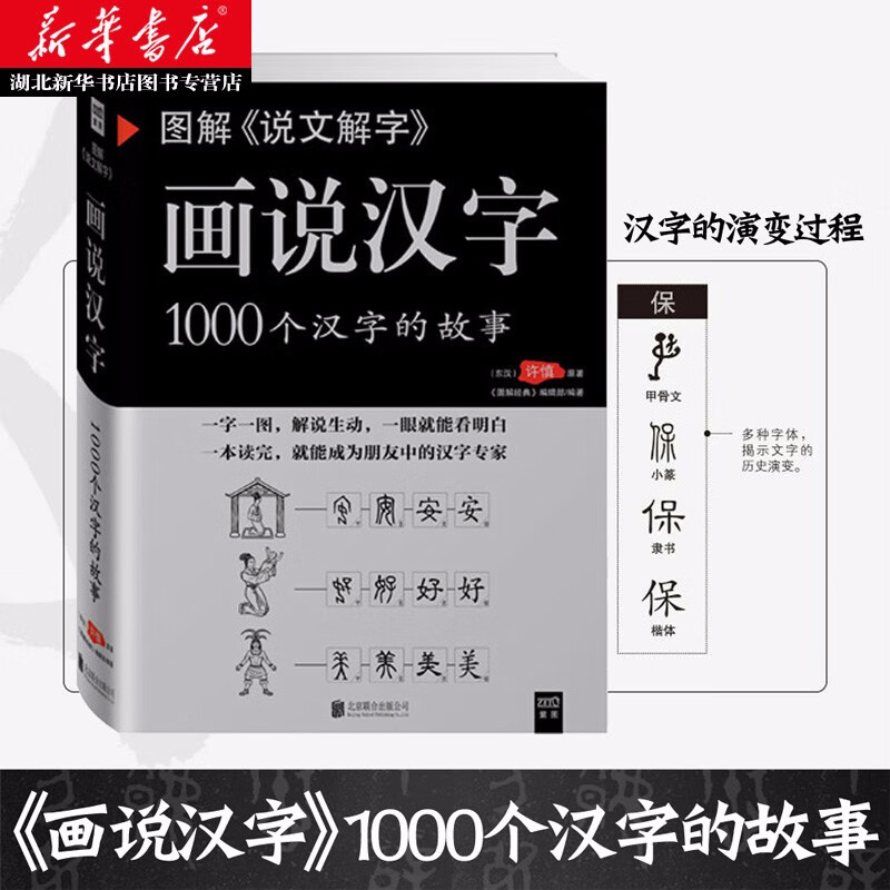 图解说文解字 画说汉字1000个汉字的故事 许慎著 汉字的演变过程精辟图说 了解汉字历史起源演变