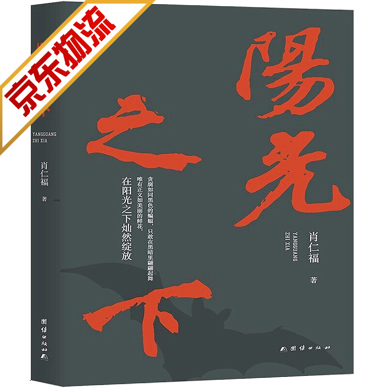 【系列自选】官场小说 阳光之下 肖仁福 著