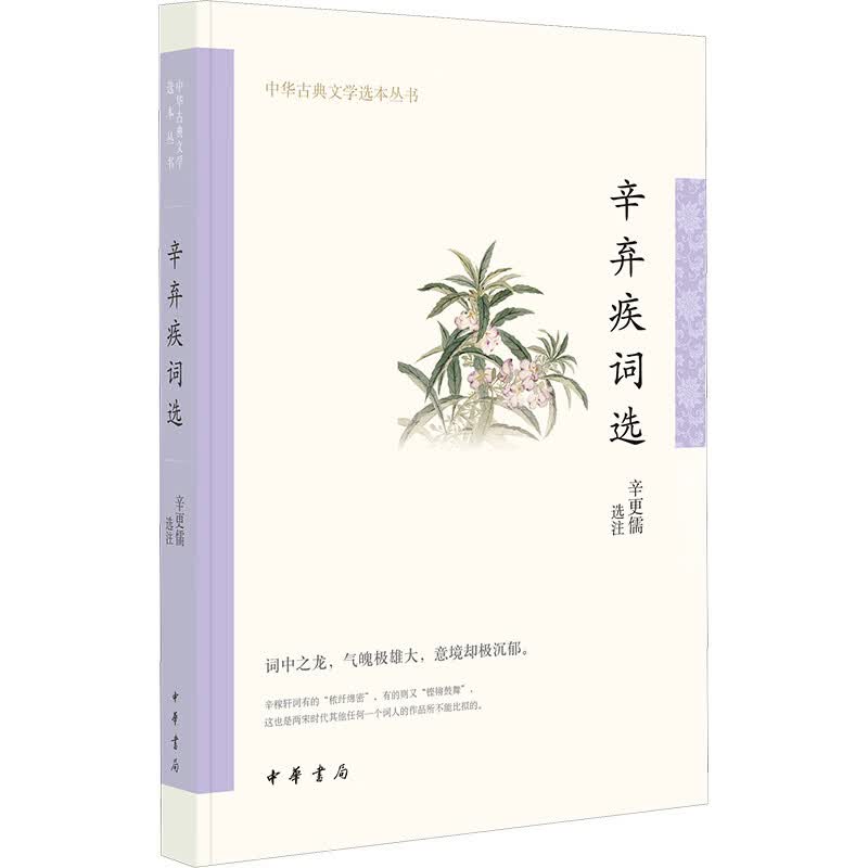 辛弃疾词选 图书