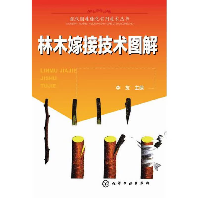 林木嫁接技术图解