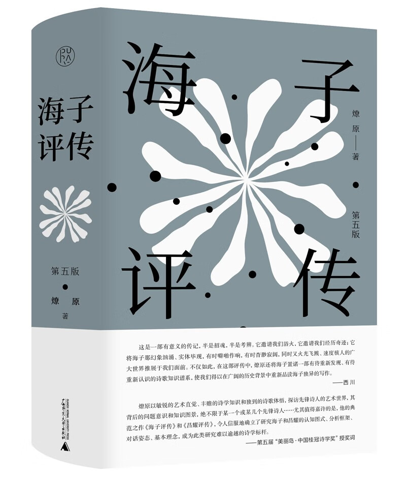 纯粹·海子评传（第五版）