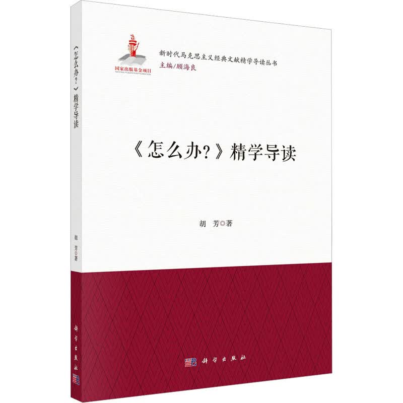 《怎么办?》精学导读 图书