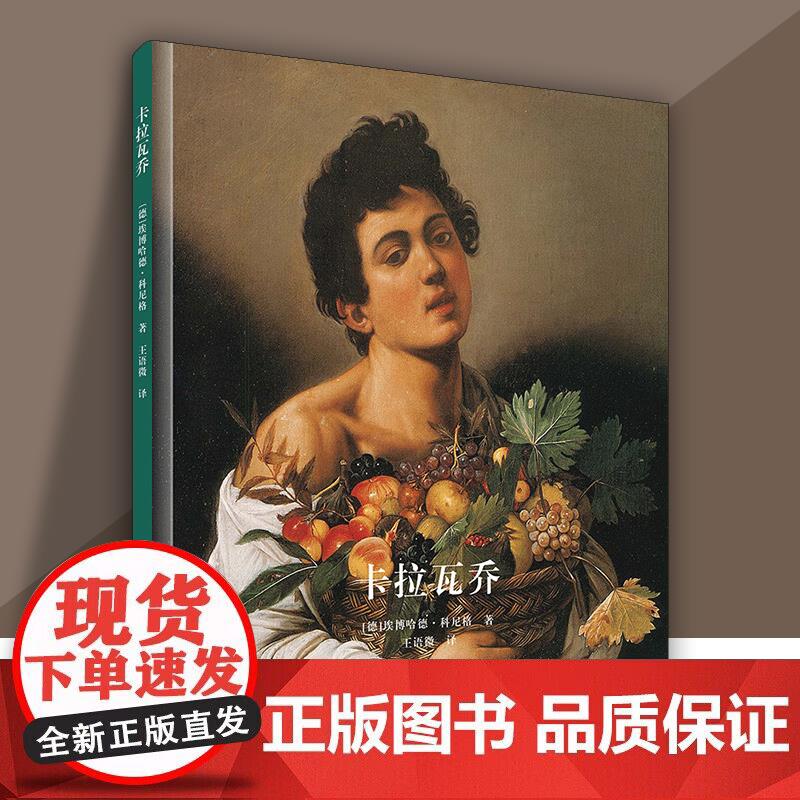 实用成语辨析词典 萍庵,赵珺莉 著 9787802412767