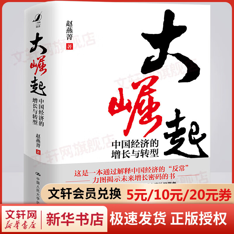 大崛起 中国经济的增长与转型 图书