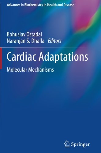 Cardiac Adaptations