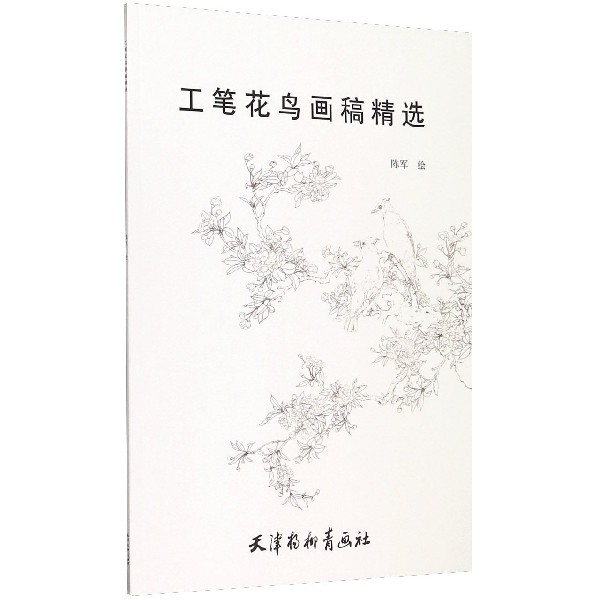 工笔花鸟画稿精选