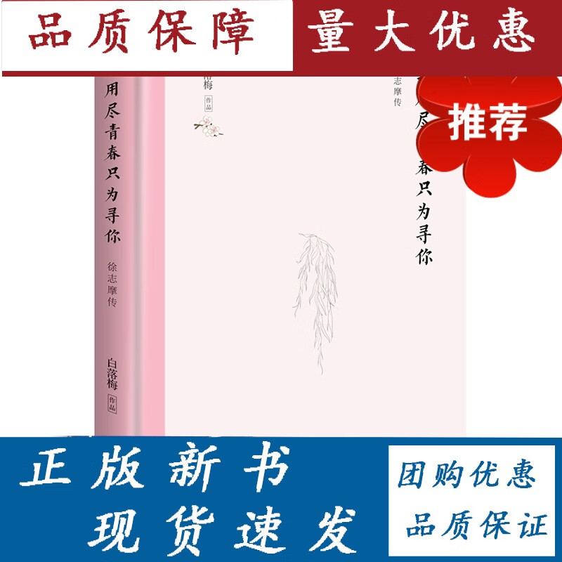 我用尽青春只为寻你