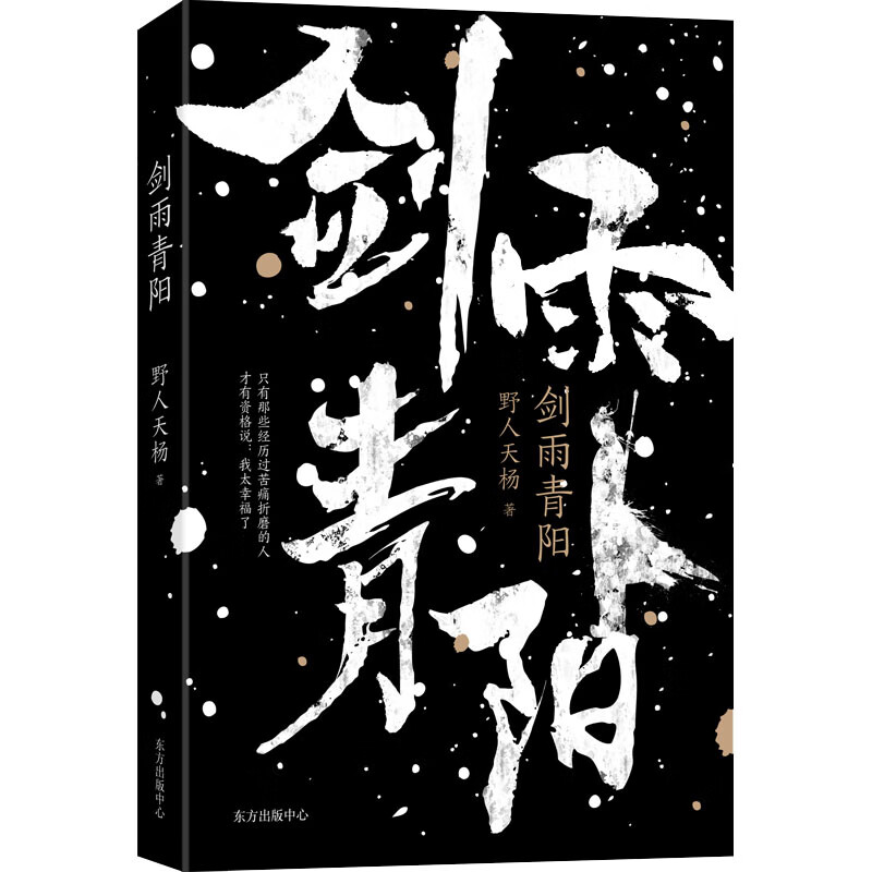 剑雨青阳 图书