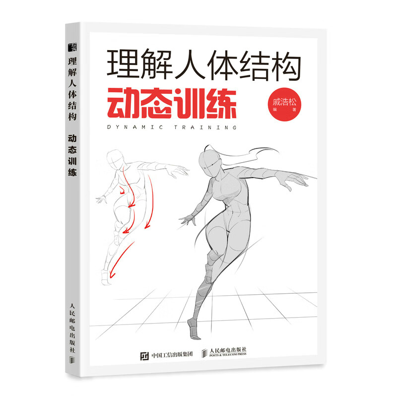 理解人体结构 动态训练（绘客出品）