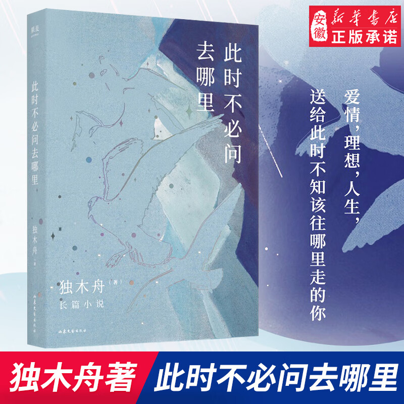 包邮 此时不 问去哪里 独木舟 金句女王 更加成熟的写作试炼 既有《月亮与六便士》的自我探索 也有《三十而已》的 现实描绘