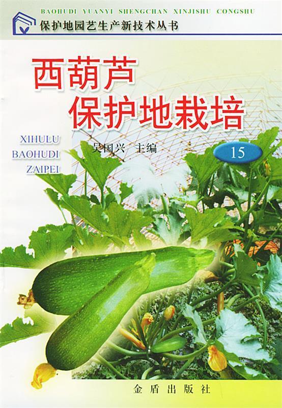 西葫芦保护地栽培